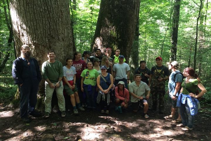 Biology, Geology and Environmental Science | University of Tennessee at ...