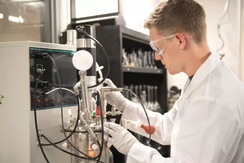 Degrees and Programs