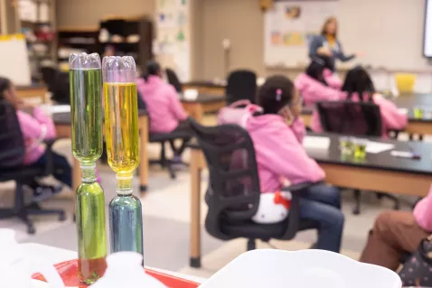 Degrees and Programs