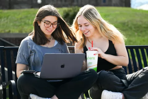 Degrees and Programs